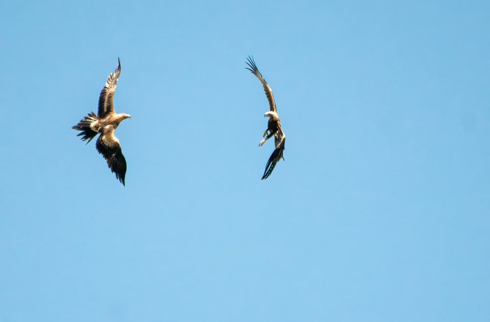 Stop Moonlight Range wind complex | Stop Moonlight Range wind complex!