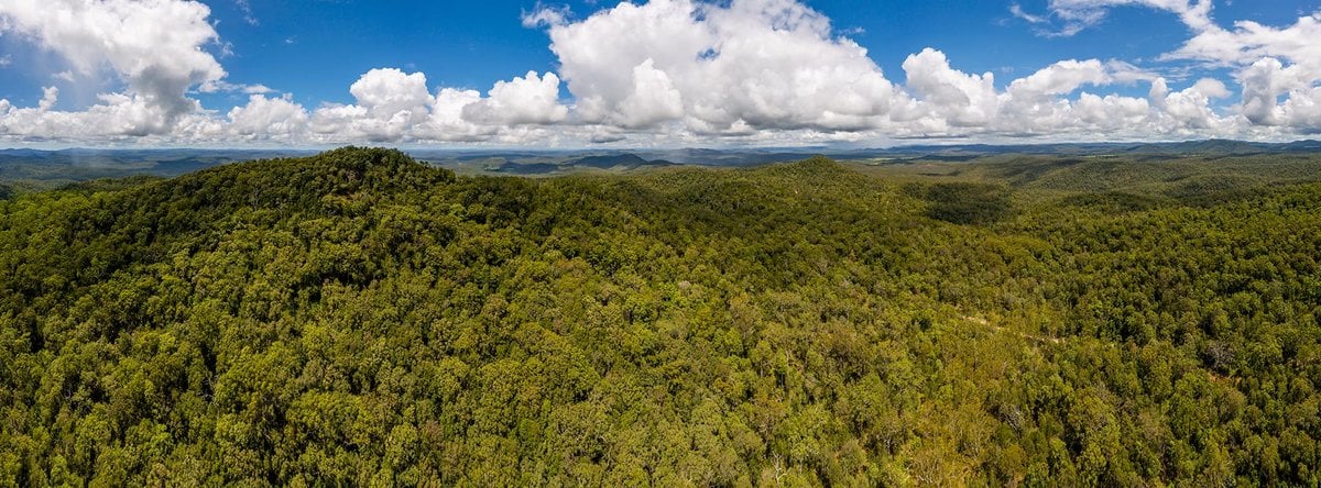 It sounds "green" but is it really? | Keep Chalumbin Wild